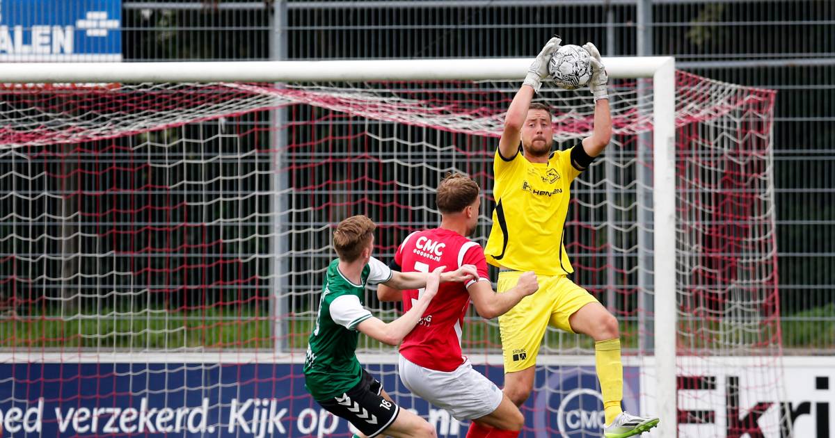 Valse start met DOVO brengt Nick van den Dam niet van zijn stuk: ‘Ik ...