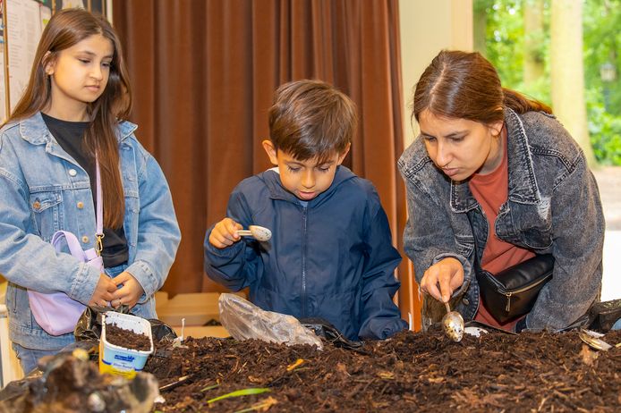 Bodemdiertjes scheppen en bekijken; kinderen kunnen gratis terecht in ...