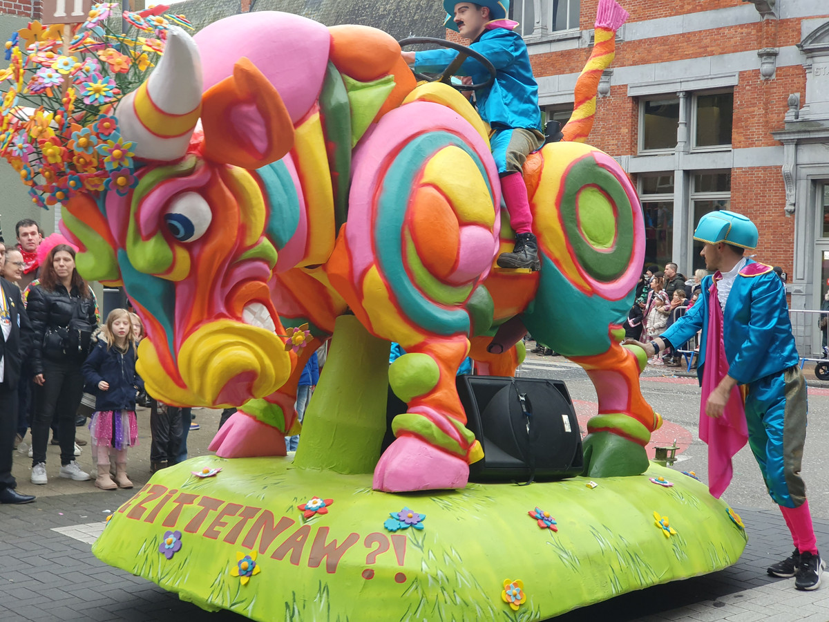 IN BEELD. Carnavalsstoet in Ossenkoppenstad | Foto | hln.be