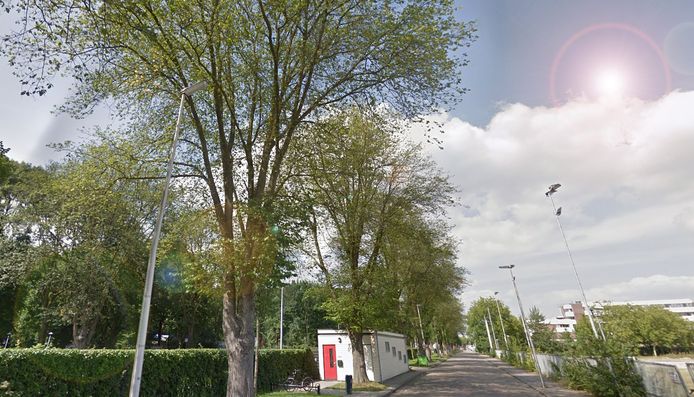 ‘Wegduiken’ is voor illegale tippelaarster Europalaan heel gemakkelijk ...