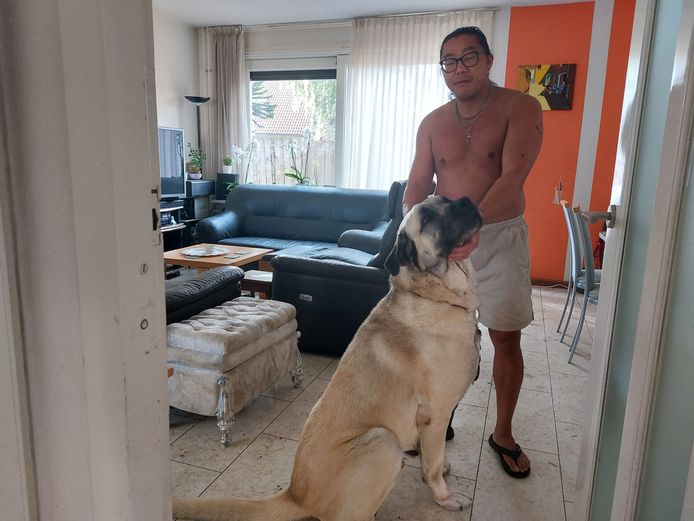 Zorgen bij buren: hond in beslag genomen na bijtincident, nu heeft baas ...