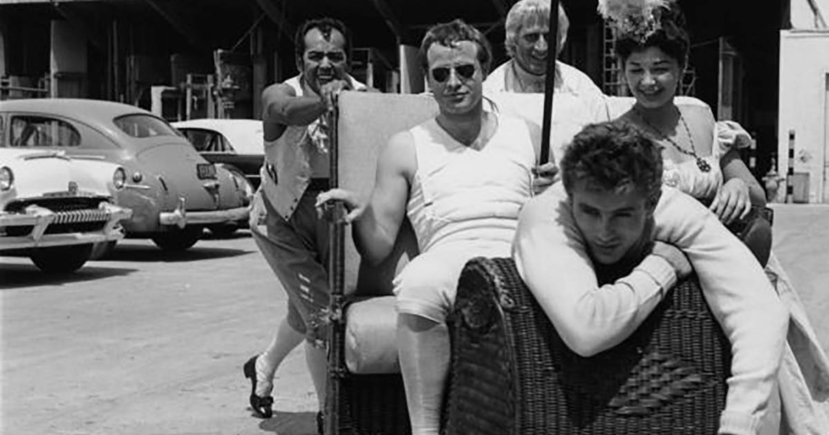 'James Dean en Marlon Brando hadden SM-relatie' | Show | AD.nl