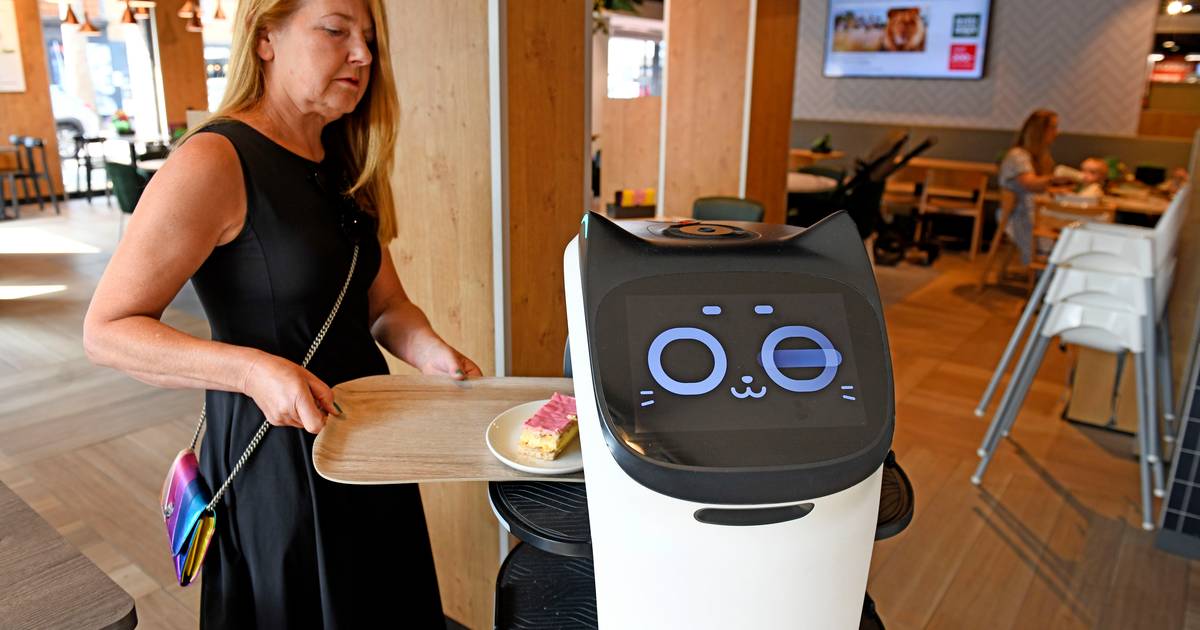 Als het druk is brengt Bella de tosti's aan tafel: Deze robot-ober ...