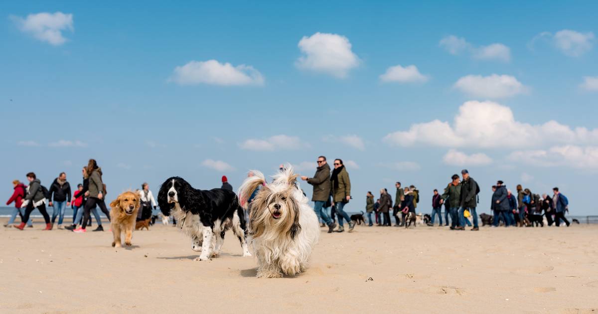 The Big Walk kiest voor recreatiegebied Bussloo als nieuwe locatie ...