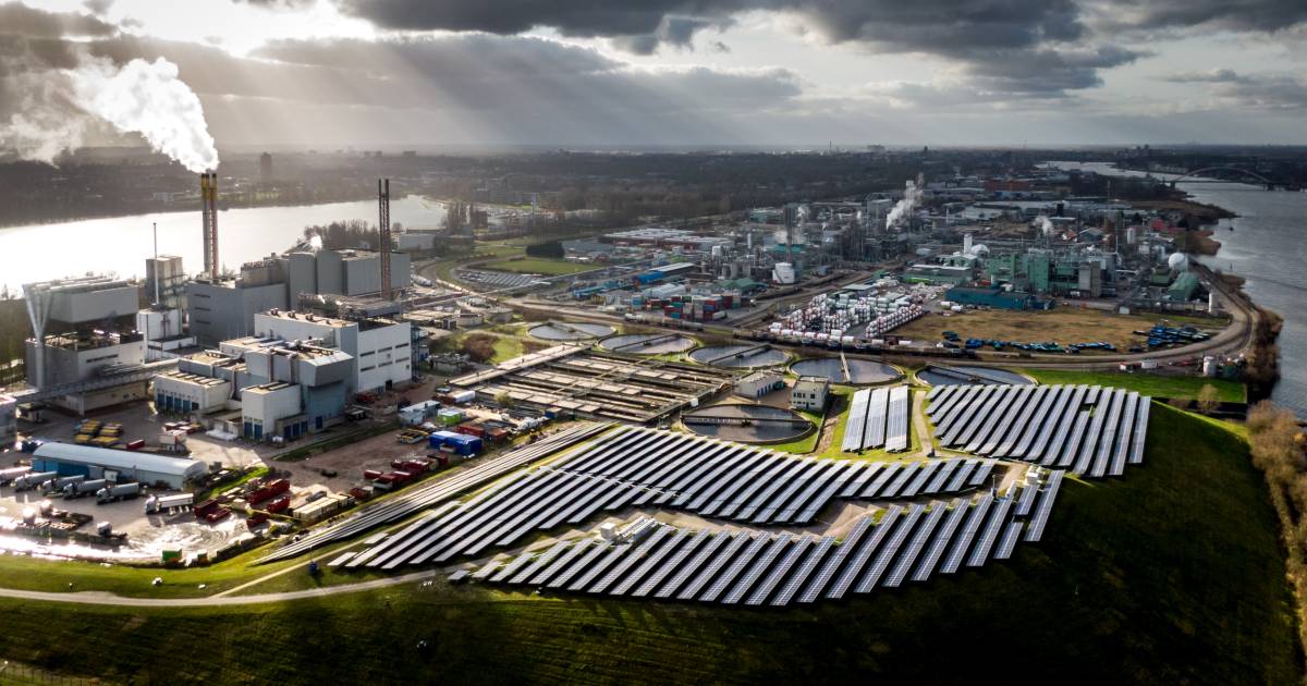 Futuristische fabriek werkt samen met waterschap: Slib wordt omgezet in ...