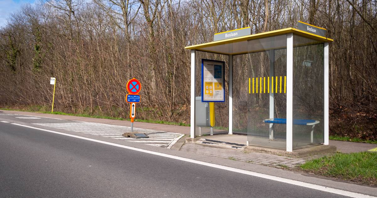 Herinrichting bushaltes op Putsesteenweg (N15) in Bonheiden ...