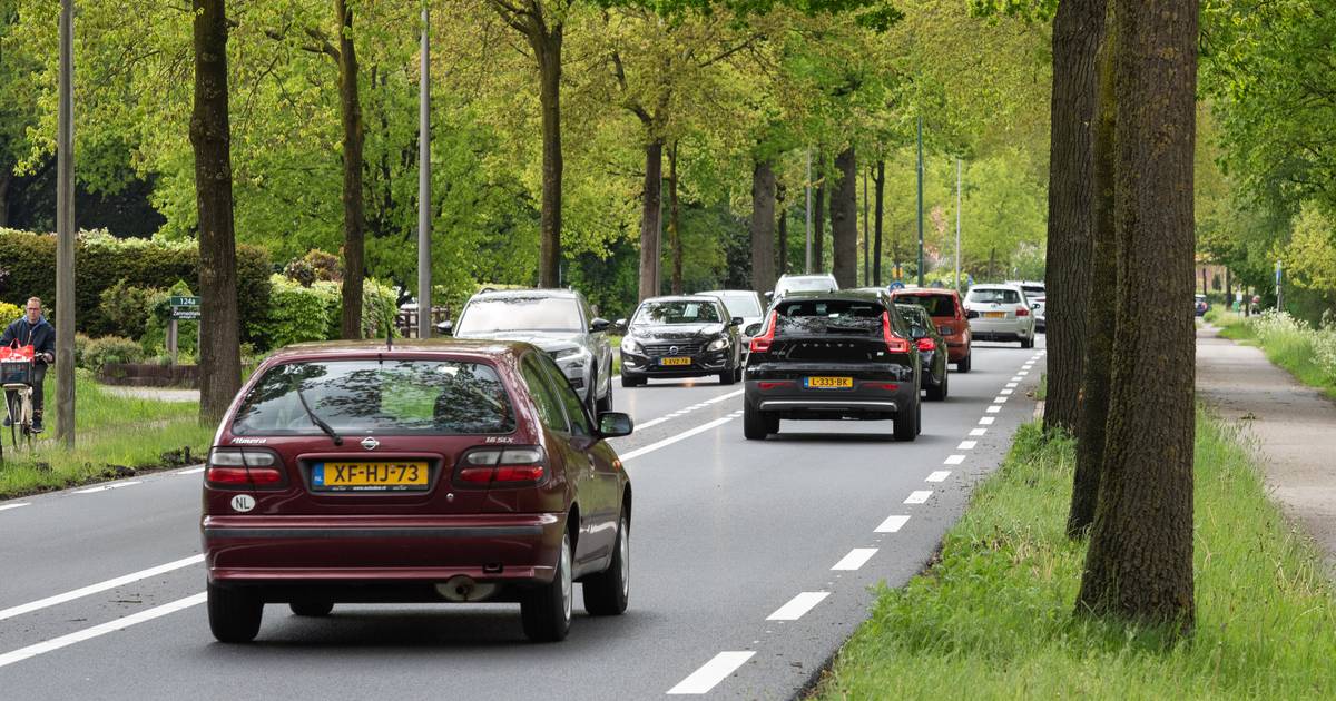 ‘Even snel plassen’ voor het zomerfeest in Soest verandert in ...