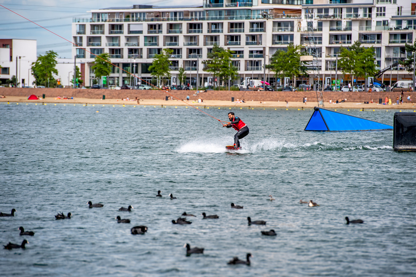 Dit zijn onze meest bijzondere verhalen van de afgelopen week | Foto ...
