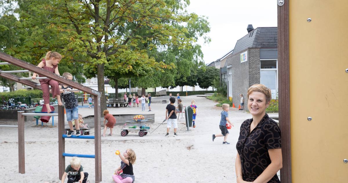 Basisschool de Springplank in Sint-Oedenrode sluit af met jubileum en ...