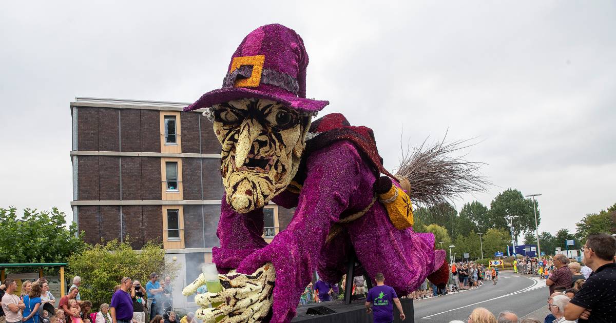 Winterswijk vergaapt zich aan kleurrijk bloemencorso mét special ...