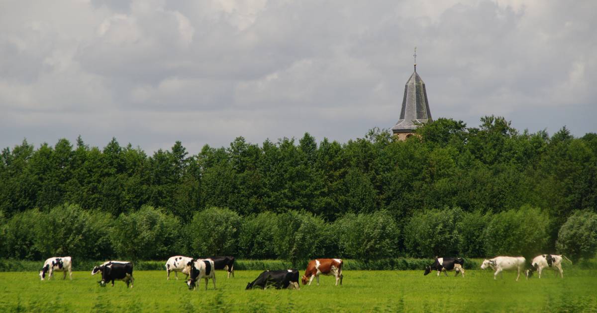 Afgeslankt programma op Open Monumentendag in Wijk bij Duurstede, Cothen en Langbroek | Utrecht ...