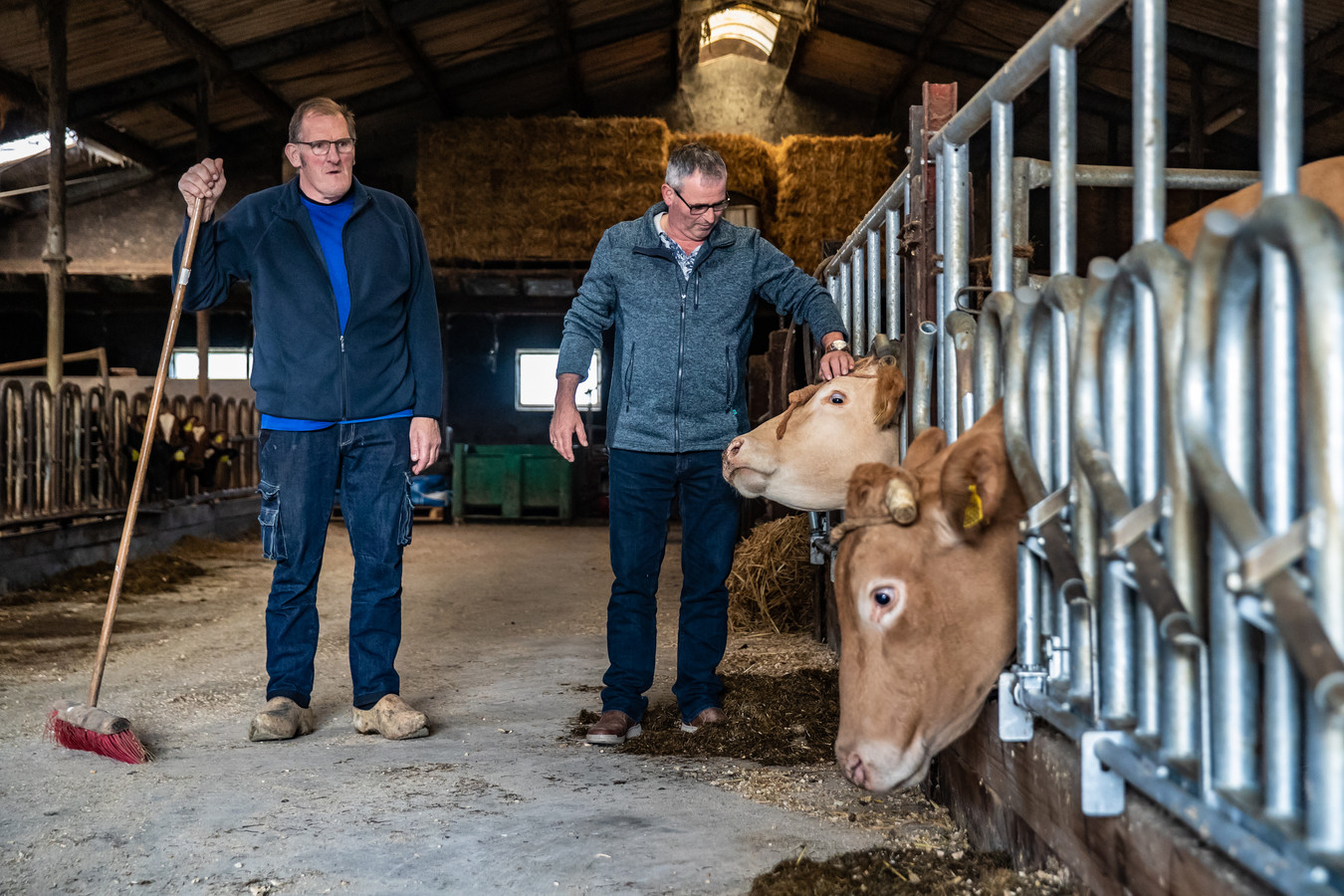 Broers Joan (63) en Jeroen (58) stoppen met boerderij in Nijbroek ...