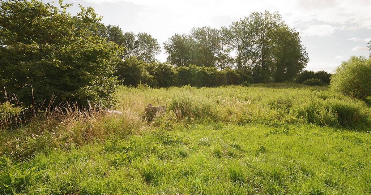 Natuurpunt ‘Oude Spoorweg’ breidt gebied uit met valleibosjes in Lier ...