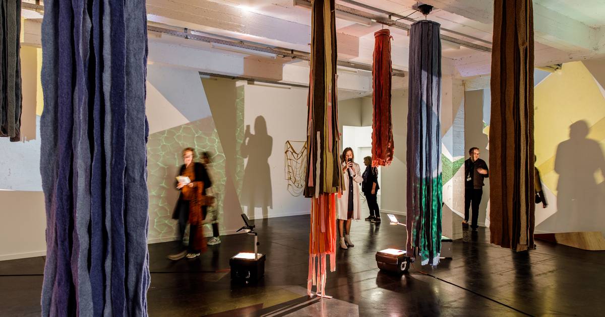 Kunstenares opent “carwash” in De Garage: “Ze laat ons de dingen ...