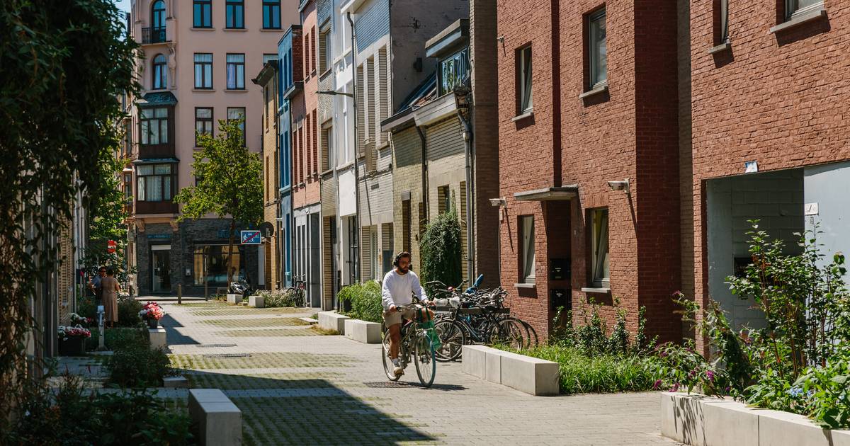 Bloemstraat ‘floreert’ als eerste Tuinstraat van Borgerhout ...