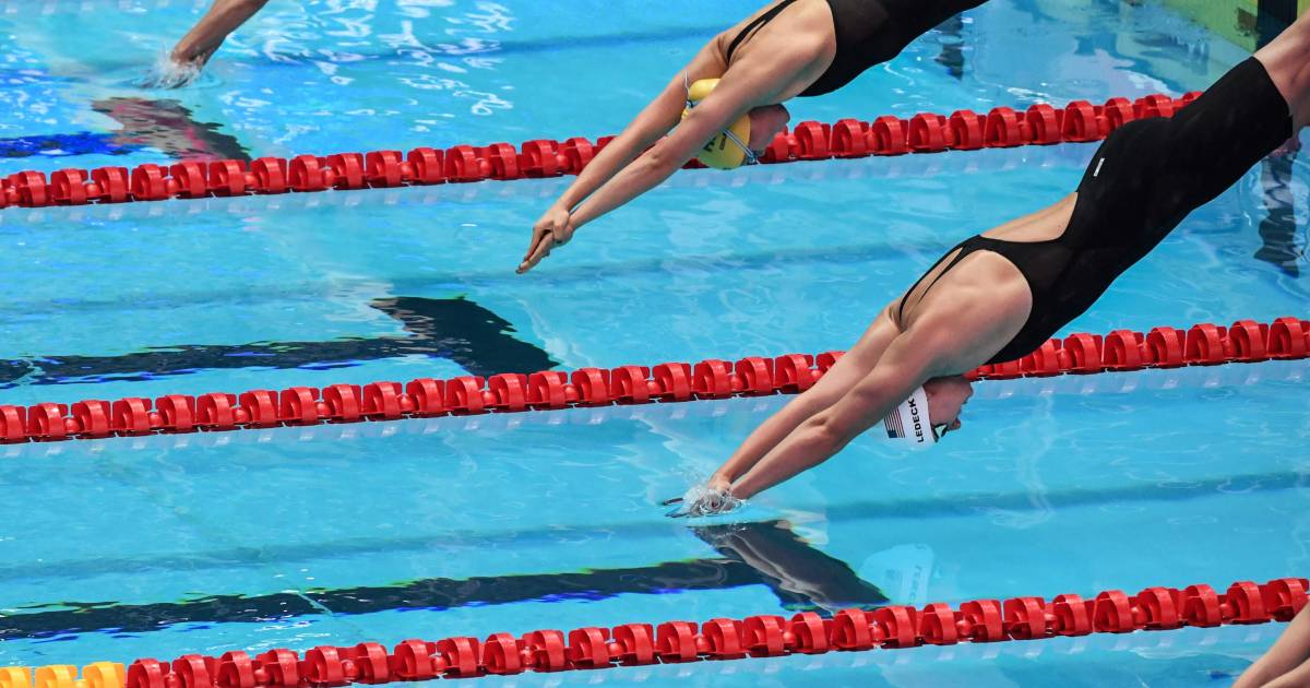 Wisselende successen Nederlandse zwemmers in series WK | Andere sporten ...