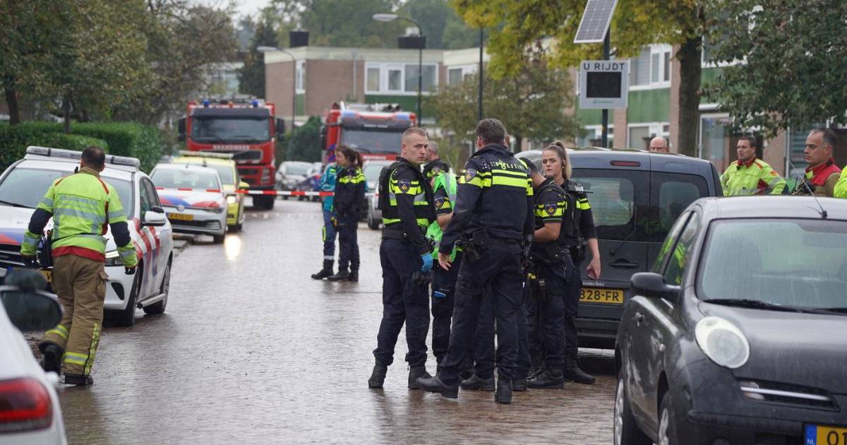 Dode bij schietpartij in Apeldoorn: 'Bizar om dit in je eigen straat mee te maken' | Binnenland ...