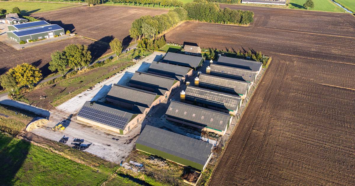 Deze veehouderijen krijgen mogelijk een nieuwe functie in Lemelerveld ...