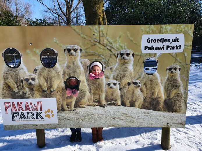 Pakawi Park na vier maanden eindelijk weer open: “Pijnlijk afscheid van ...