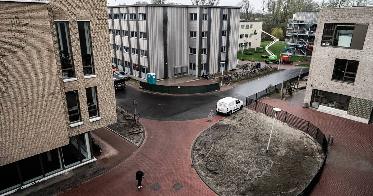 Meerderheid Amsterdamse raad blijft vierkant achter gemengde ... Meerderheid Amsterdamse raad blijft vierkant achter gemengde ...