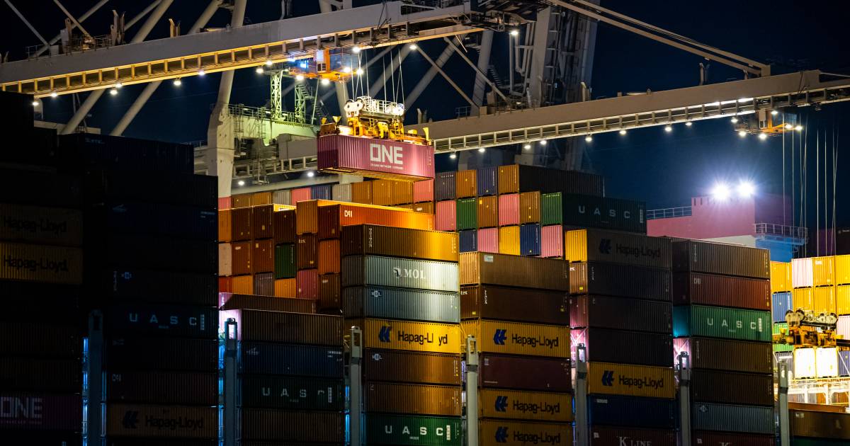 Vijf uithalers betrapt op de Maasvlakte | Rotterdam | pzc.nl