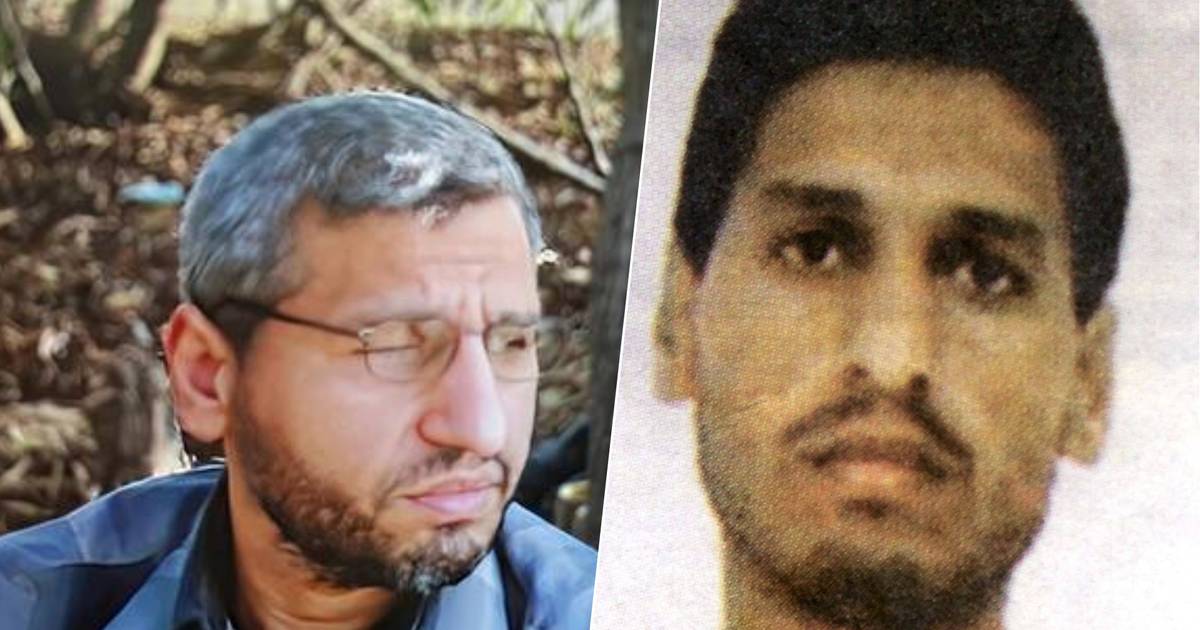 S'agit-il du “chat aux neuf vies”? Une prétendue nouvelle photo du chef ...