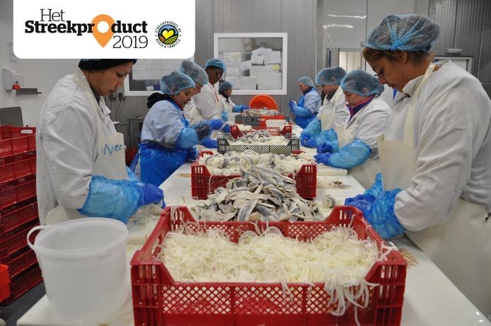 Vlaamse opgelegde haring van GILCO: “Haring is heel gezond, maar het ...