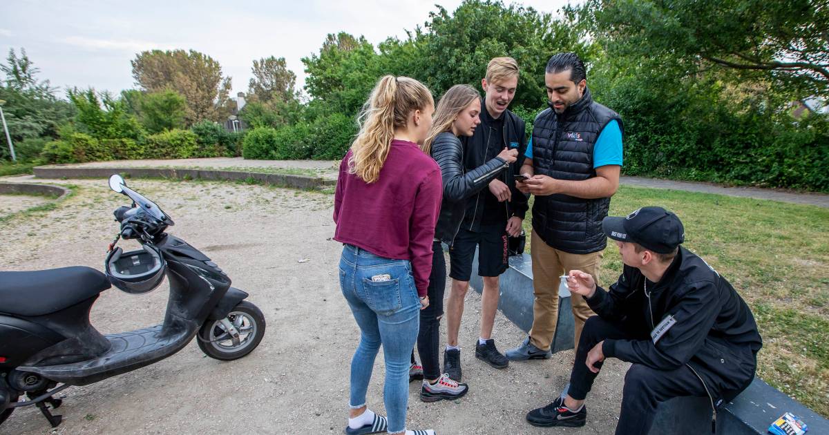 Ali kent ze állemaal bij naam | Westland | AD.nl
