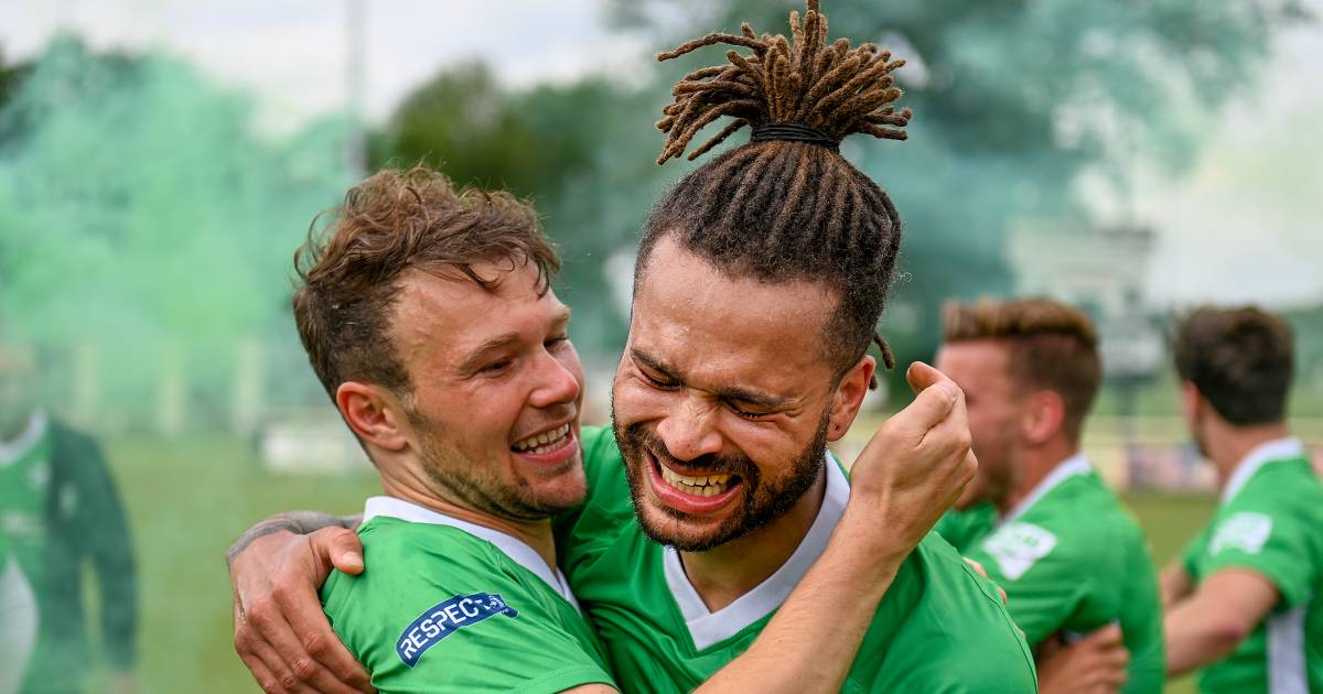 Baronie-steunpilaar Aart Veldhof stopt: ‘De tijd moet leren of ik ...