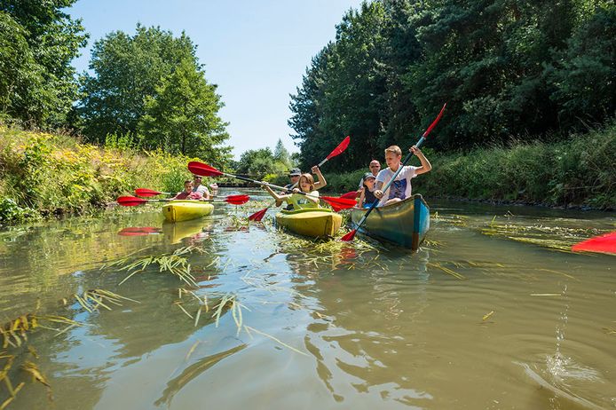Op zoek naar verfrissing in de Kempen? Kajak eens op de Kleine Nete ...