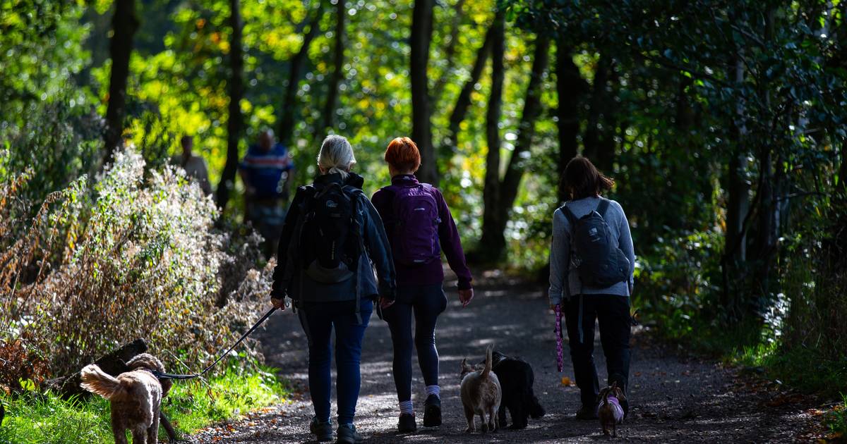 Wandelclub WK Werchter organiseert Wintervuurtocht | Tremelo | hln.be