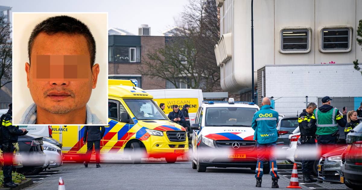 Psychisch onderzoek ‘Lucky’, verdachte van moord op schoonmoeder en ...