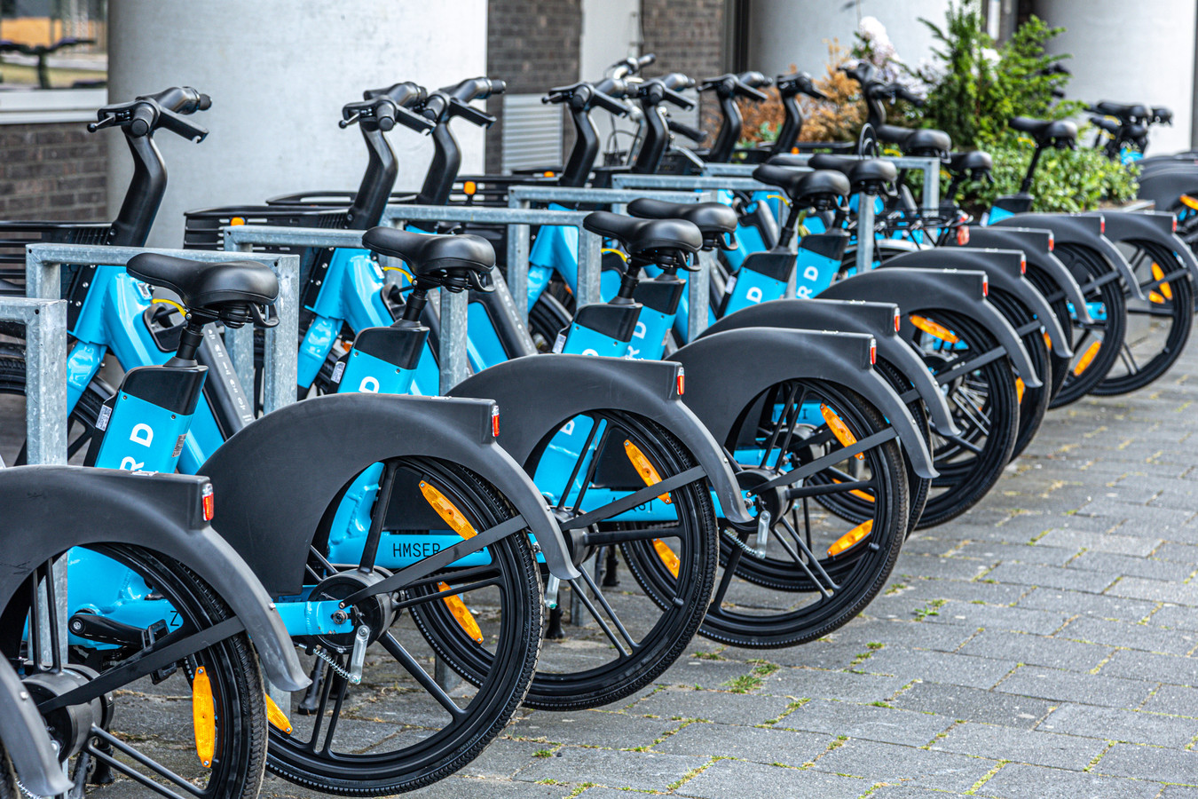 Bird bij introductie van 150 deelfietsen in Zwolle meteen op de vingers ...