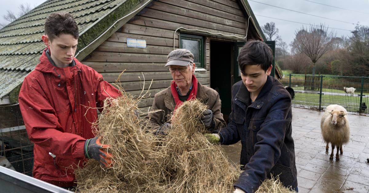‘Vier ratten in de ogen gekeken’ en ‘enge pikkende kippen’ getrotseerd ...