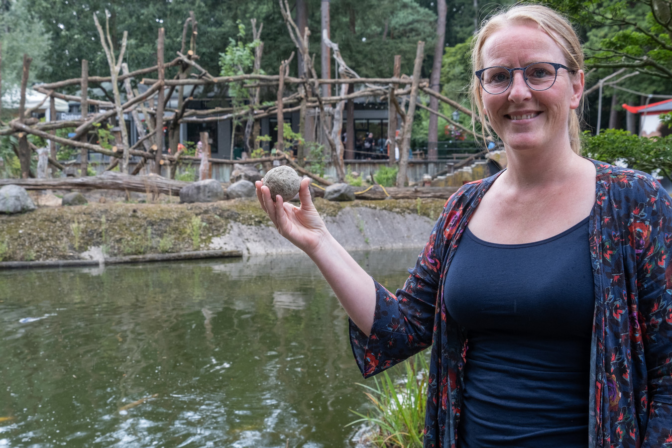 Modderballen klaar? Gooien maar! In de dierentuin gingen 1100 ballen te ...