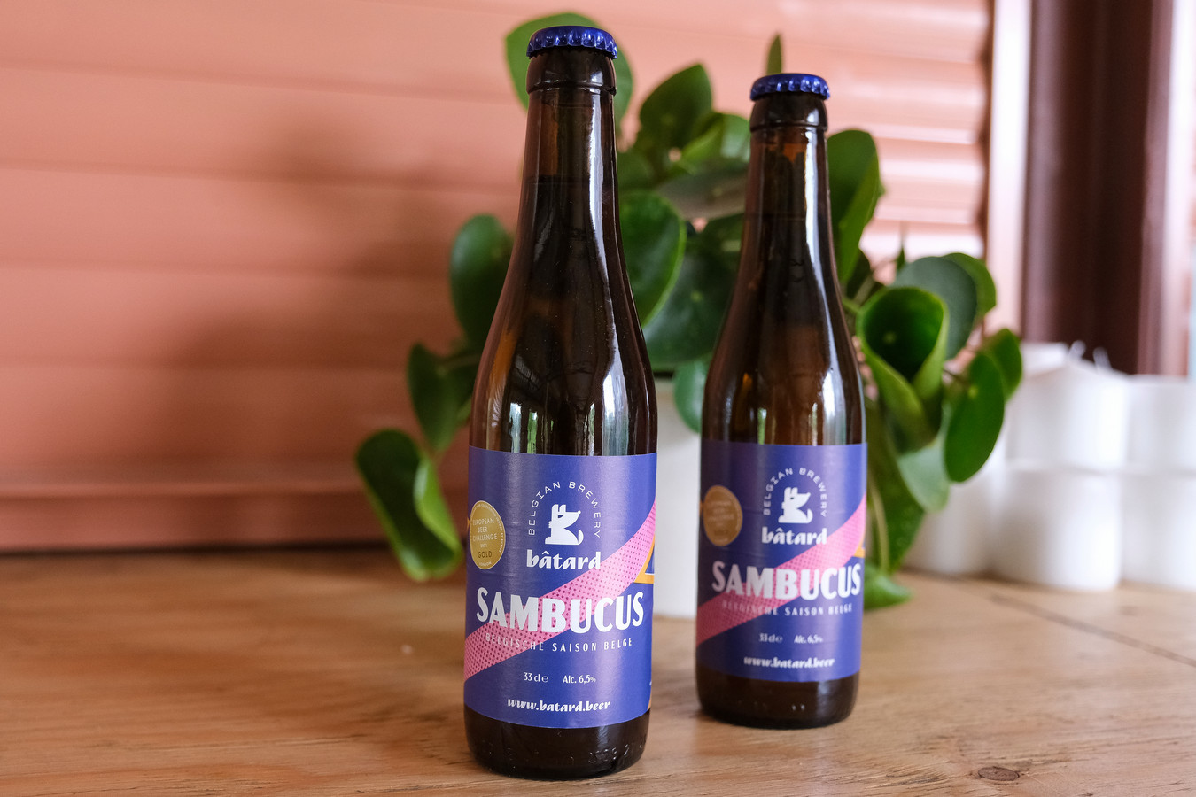 NET OPEN. Bar Bâtard landt in Asiat Park: “Eigen bier begin van zoveel ...