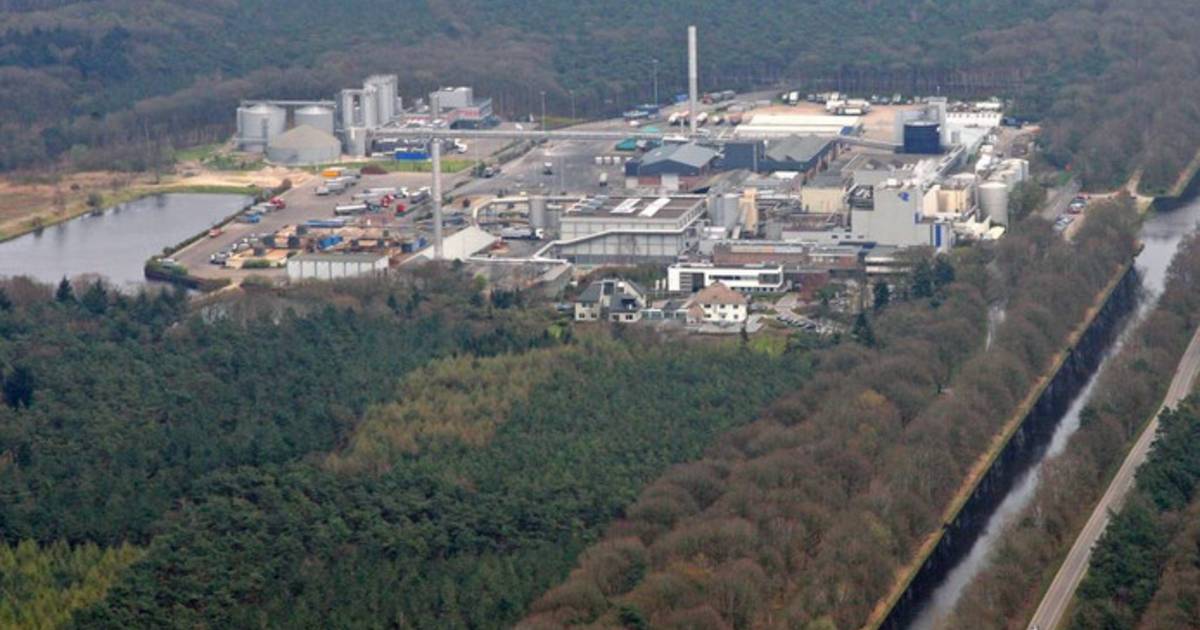 Rendac, Nedzink, Vion: BMF richt zich bij stikstofmissie ook op ...