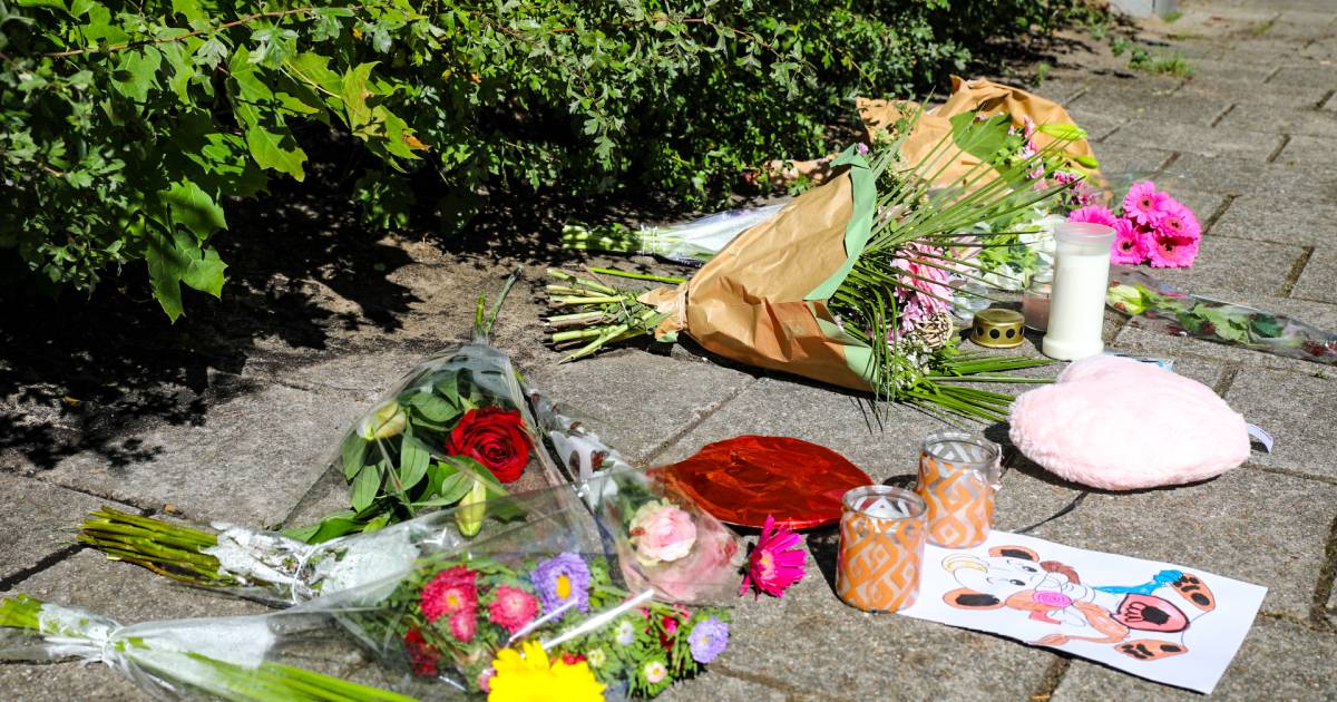 Zomerdag wordt gitzwart in Apeldoorn als Peshang (35) op zijn zus ...
