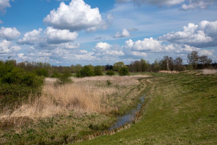 Natuurgebied Kalkense Meersen verkozen tot beste publieke ruimte: “Een ...