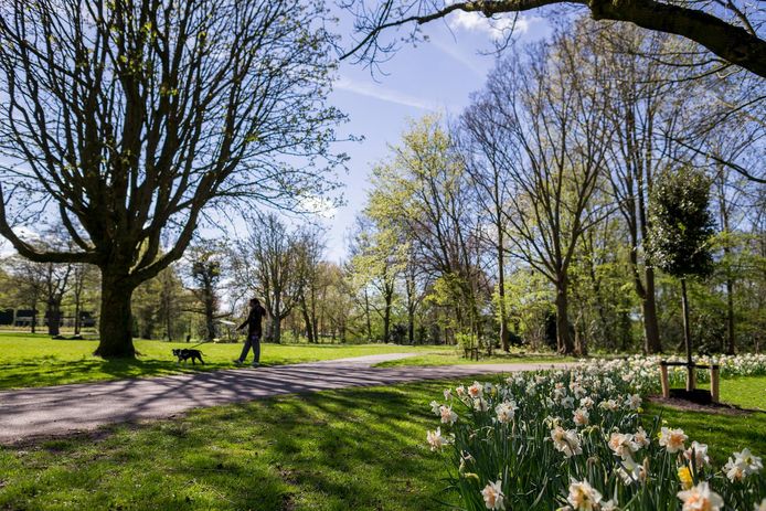 Ruim 6 miljoen voor opknapbeurt Noorderpark | Amsterdam | AD.nl