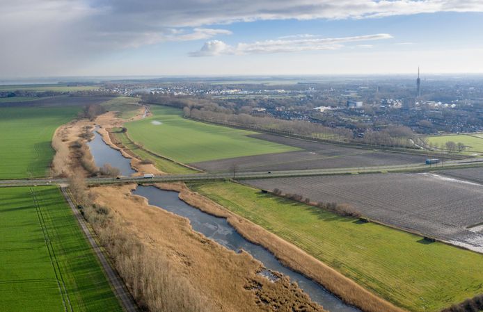 Goes krijgt er volgend jaar een groot stuk natuur bij: ‘Hier worden we ...