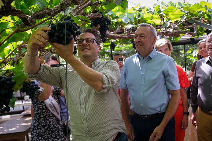 Campagne Druiventro(t)s gelanceerd met eerste knip: TV-kok Jeroen De ...