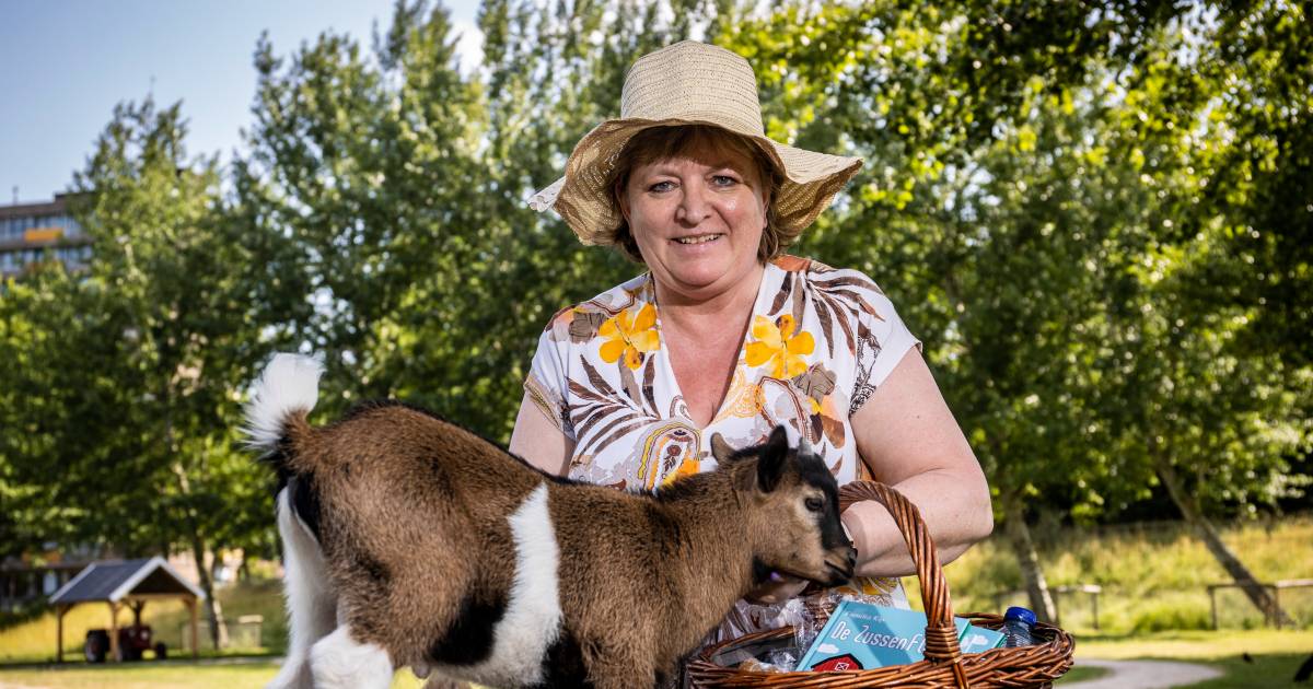 Ook je huisdier gedijt bij rust, reinheid en regelmaat | Binnenland | AD.nl