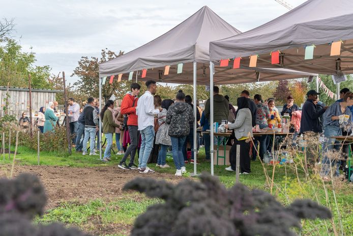 Truiense tuiniers telen ecologisch groenten en verwerken afval in hun ...