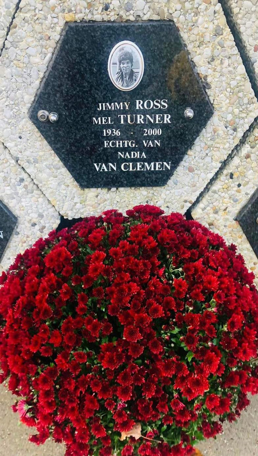 Hoe een Amerikaanse hitzanger zijn laatste rustplaats vond in ...