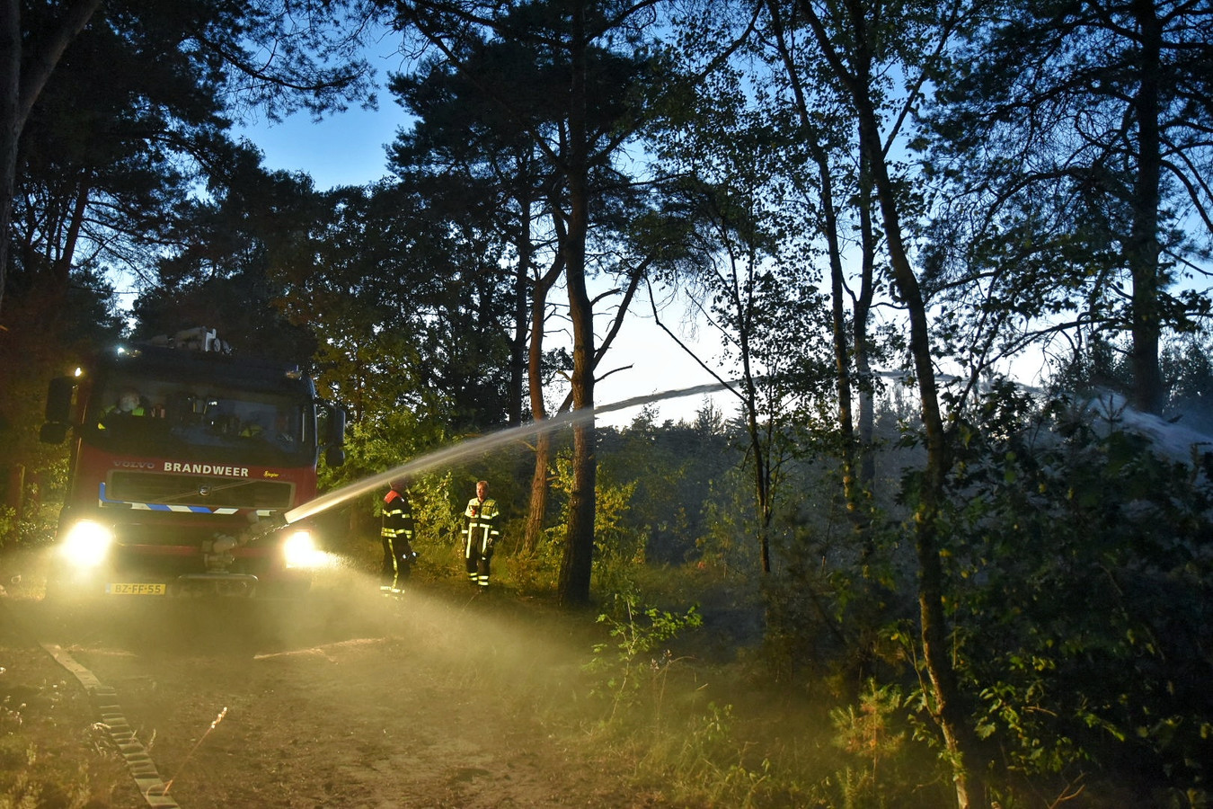 Bosbrand aan Bredaseweg in Tilburg, brandweer rukt met groot materieel ... Bosbrand aan Bredaseweg in Tilburg, brandweer rukt met groot materieel ...