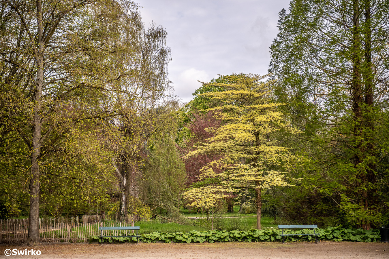 Zo haal je het meeste uit een wandeling door het stadspark: natuurgids ...