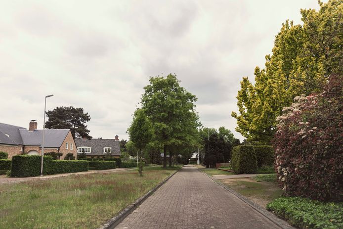 Prijzen van huizen in Lommel stijgen, appartementen worden goedkoper | Lommel | hln.be