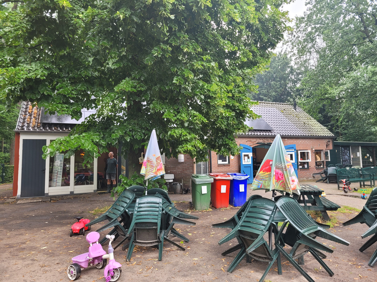 Varkens eten hun eigen poep; jonge dierenverzorgers leren waarom | Foto ...