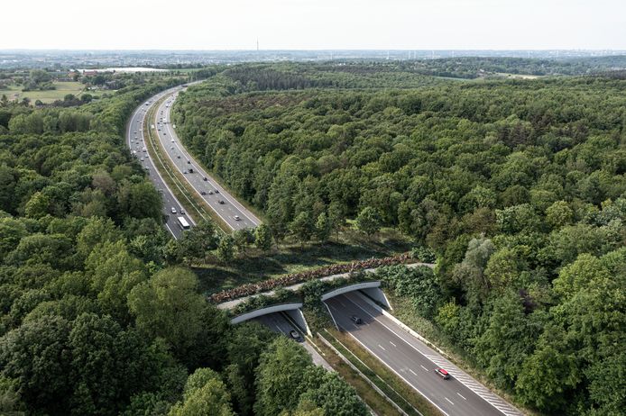 Brusselse Ring nacht van 24 op 25 juni afgesloten voor afbraak brug Vlasmarktdreef | Halle | hln.be